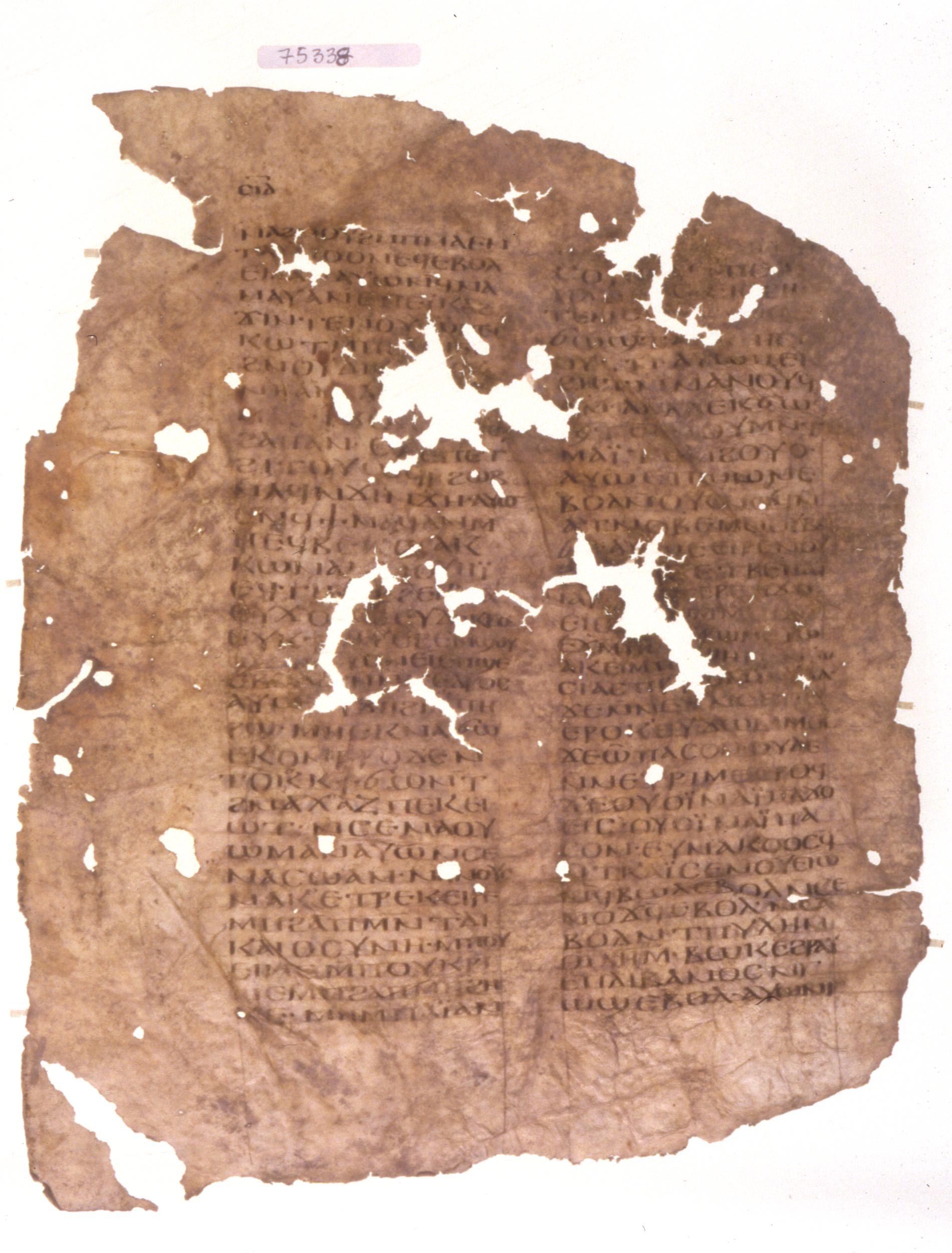 El origen de la palabra “libro” y otras curiosidades – Across Traducciones